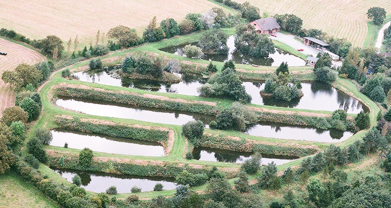 FLY FISHERY - Wales self catering